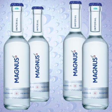 Magnus Imperial 20/0,25 Ltr. Glas | Direct Getränke Lieferservice Hamburg